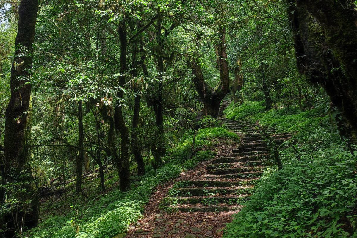 Best Hiking Destination Around Kathmandu